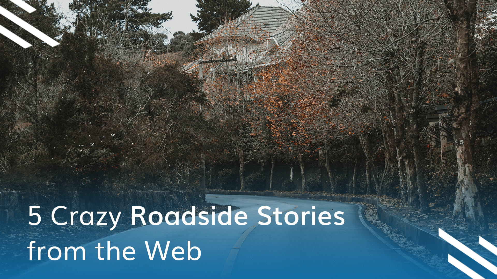 5 Crazy Roadside Stories from the Web - Sell Your Motors Blog